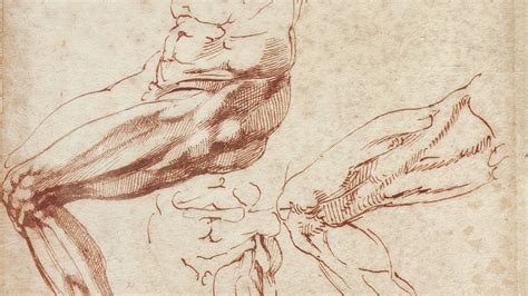 Микеланджело картина руки 73 фото