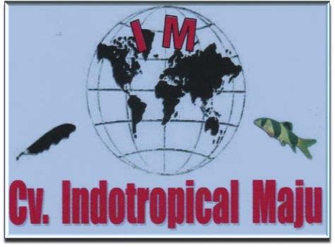 Polypterus Speciesindonesia Polypterus Price Supplier 21food