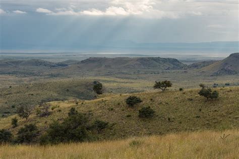 Sold Texas Ranches Texas Real Estate Company