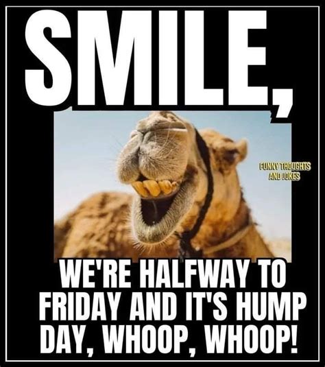 40 Collection Of Best Hump Day Wednesday Memes 2023 Funny Wednesday