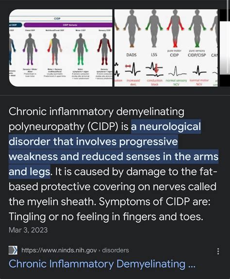 🐢☀️ What Is Cidp How Is It Triggered How Does It Effect The Body ☀️🐢 Here Are Some Quick And
