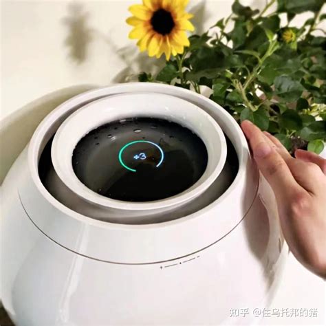 【自费3w 深度测评】爆肝3个月，2024年加湿器攻略，20 款加湿器实物测评！选购加湿器看这篇就够了！