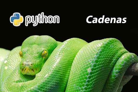 Python Cadenas De Caracteres Tech Krowd