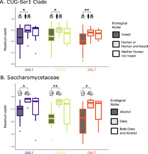 Codon Optimization In The Gal Pathway Is Correlated With Specific Download Scientific Diagram