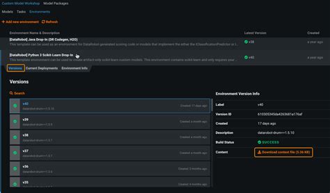 Custom Environments Datarobot Docs