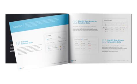 data access intelligence and governance brochure securiti