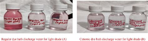 Visual Assessment Of The Light Shade Between Regular And Cationic Dye