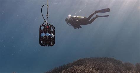 Ocean Science Analytics On Linkedin Innovative Environmental Dna