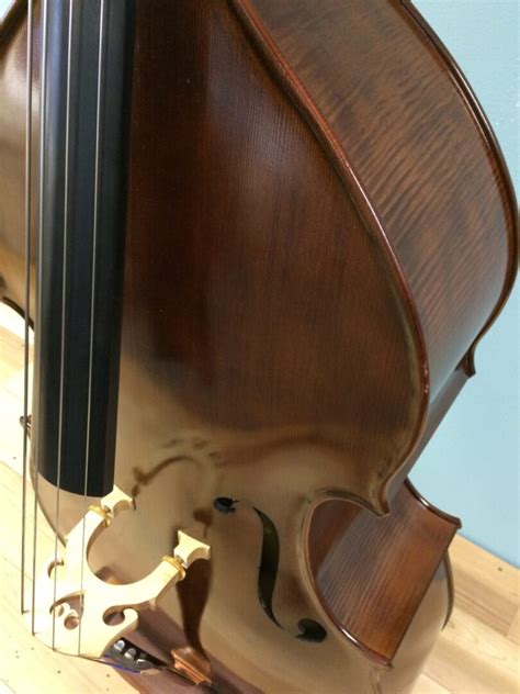 Kai Arvi Bass 7 8 Size Lemur Music