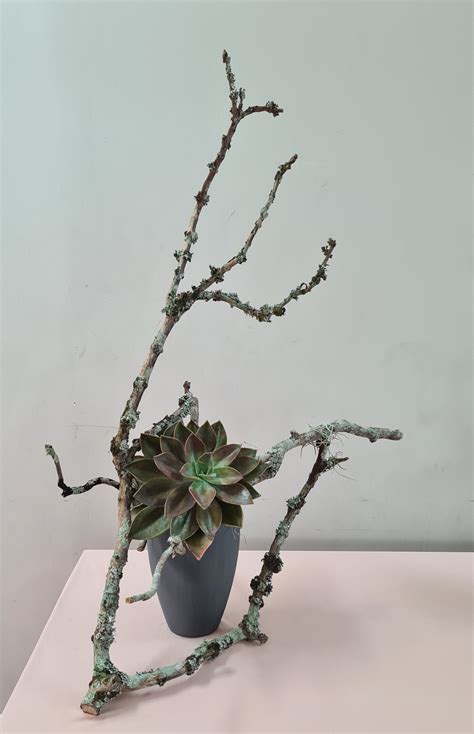 Floral Designed By Sandra Pillay Facebook