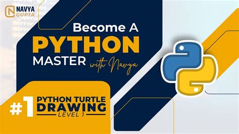 Python Turtle Drawing Level 1 Youtube