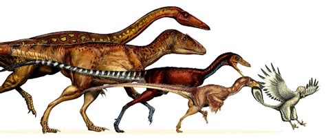 Why Did The Dinosaurs Go Extinct But Not All Life Geology In