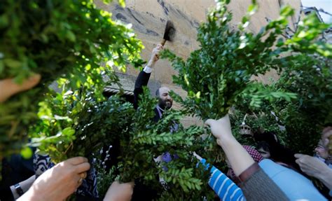 მართლმადიდებელი ეკლესია ბზობის დღესასწაულს აღნიშნავს Netgazeti • 2016 • Netgazeti Ge