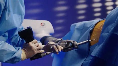 Audubons Globus Medical Wins 95 Million Settlement