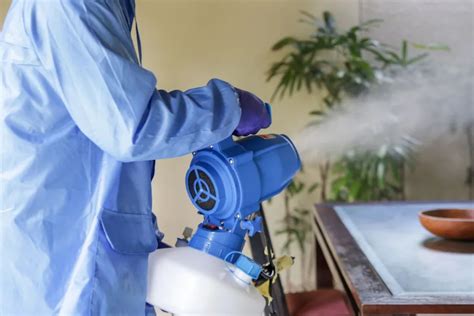 How Much Does Fumigation Cost