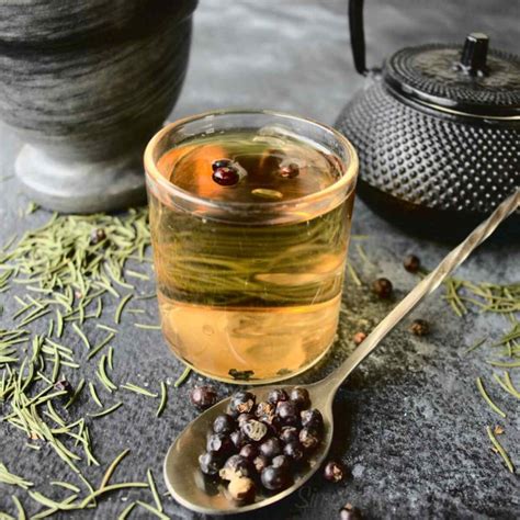 How To Make Juniper Berry Tea Simplybeyondherbs