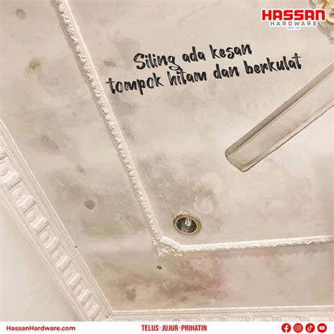 Cat Siling Rumah Penting Atau Tak Ketahui Jawapannya Sekarang