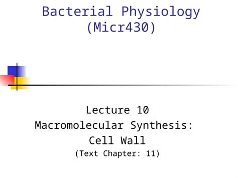 ppt bacterial physiology micr430 lecture 10 macromolecular