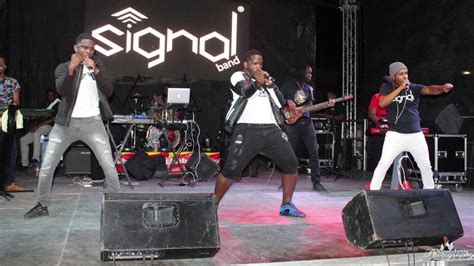 Signal Band Live Carnimas 2019 Youtube