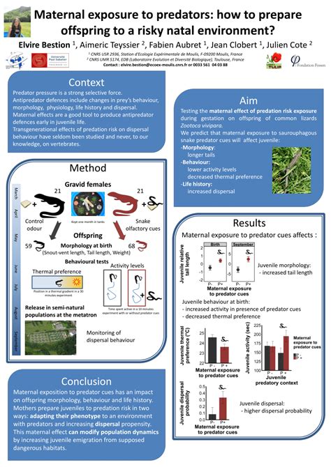 Pdf Maternal Exposure To Predators How To Prepare Offspring To A Risky Natal Environment
