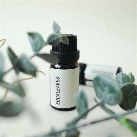 라이즐 Eucaleaves 유칼립투스 에센셜 오일 10ml 라이즐