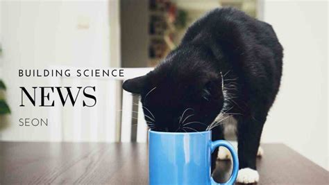 Building Science Volume 2 Issue 9