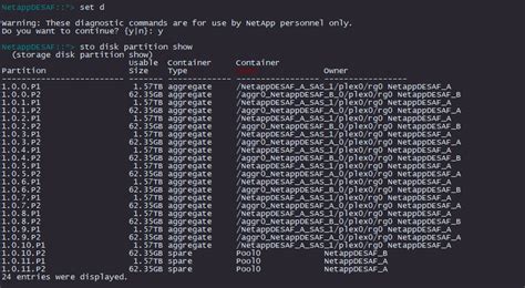 Solved How To Get A Disk Partitions Information Use Ontap Command
