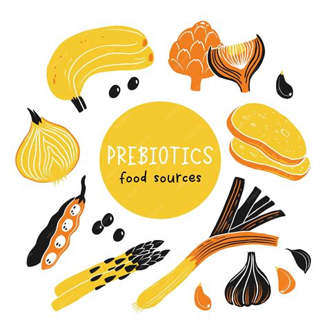 Premium Vector Prebiotic Products Sources Of These Bacteria Nutrient