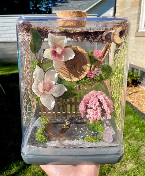 Jumping Spider Enclosure Jumping Spider Home Spider Habitat Sakura