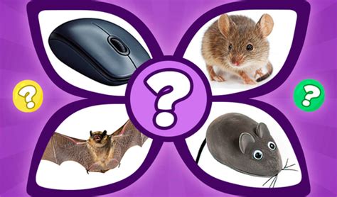 Собери слово по 4 фото Appyapp ұсынады Яндекс Игры сервисінде тегін онлайн ойнау