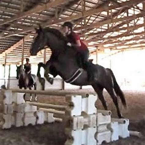 Tara Schupner Congdon Youtube