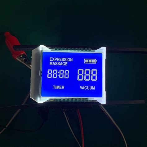 Custom Inverter LCD Screens China LCD Supplier Htn Monochrome 7 Segment LCD Display Customzied