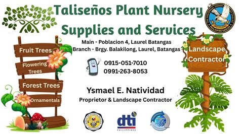 Buddedgrafted Fruit Buddedgrafted Fruit Bearing Trees