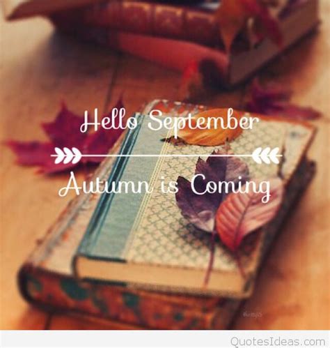 A New Day Hello September Hello Mums