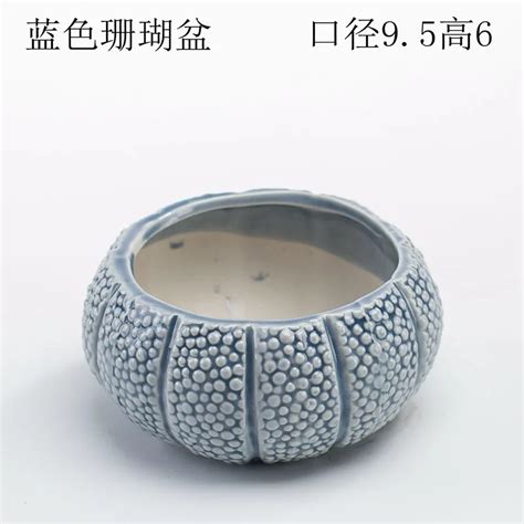 Ceramic Home Garden Sea Shell Ceramic Succulent Plant Flowerpot Flower