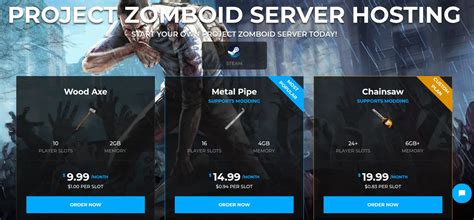 best project zomboid server hosting for a finest gaming experience