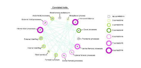 Correlated Binary Components Based On The 50p Ml Ultrametric Tree And