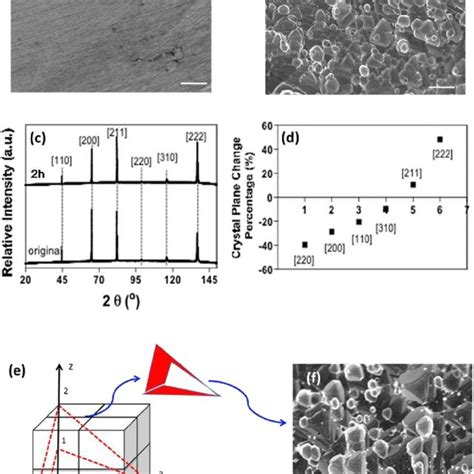 Morphology Of Ss Bcc Surface After 2 H Anodization A Sem Image Of Download Scientific