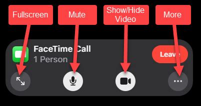 How To Use Facetime For Windows