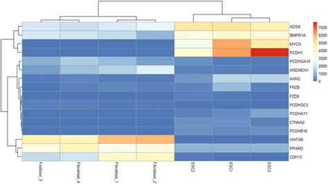 A Heat Map Prepared Using The Pheatmap Default Arguments From The Download Scientific Diagram
