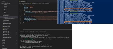 Cant Orbit To Moon Node Community Support Zerotier Discussions