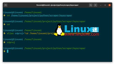 缩短 Linux 命令并节省时间的 4 种方法 Linux迷