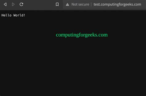 Host Asp Net Application On Rocky Centos Almalinux With Apache Computingforgeeks
