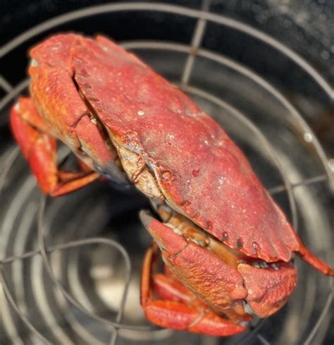 How To Catch And Cook Your Own Crab In The Pnw Gather Lemons