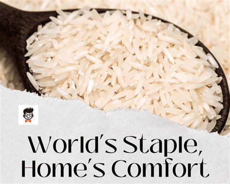 871 Rice Slogans For Perfect Marketing