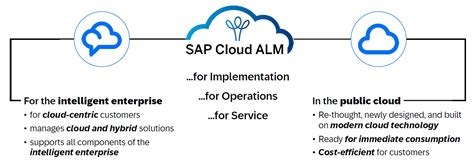 Sap Cloud Alm Sap Soa People