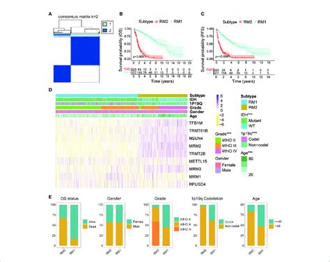 Comparisons Of Clinicopathologic Features Between Two Subtypes Of Download Scientific Diagram