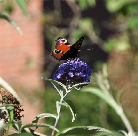 Bakom Naturhistoriska Riksmuseet Statens Fastighetsverk