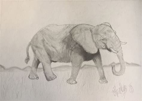 New And Improved Elephant Drawings Sketches Humanoid Sketch