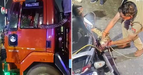 Python Climbs Inside Running Truck Then Jumps On To Bike Rescued By